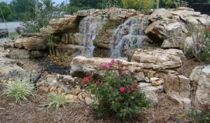 Top Trends in Pond Design for 2025 - Meyer Aquascapes 💦