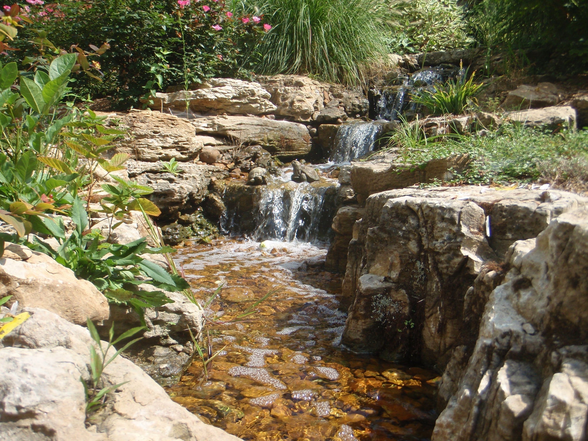 Water Spitters: Adding Dynamic Motion to Your Outdoor Oasis - Meyer ...