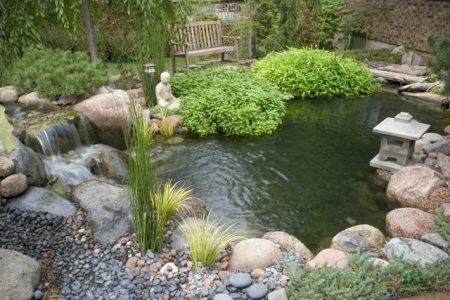 Small Backyard Ponds - Aquascapes