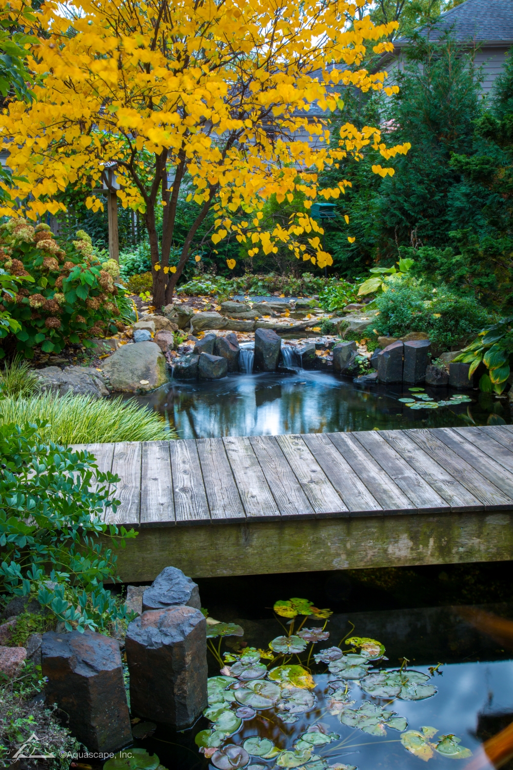 Natural Backyard Pond Irrigation - Meyer Aquascapes 💦