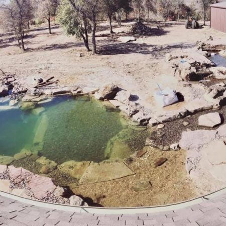10 Common Pond Problems and Solutions - Aquascapes